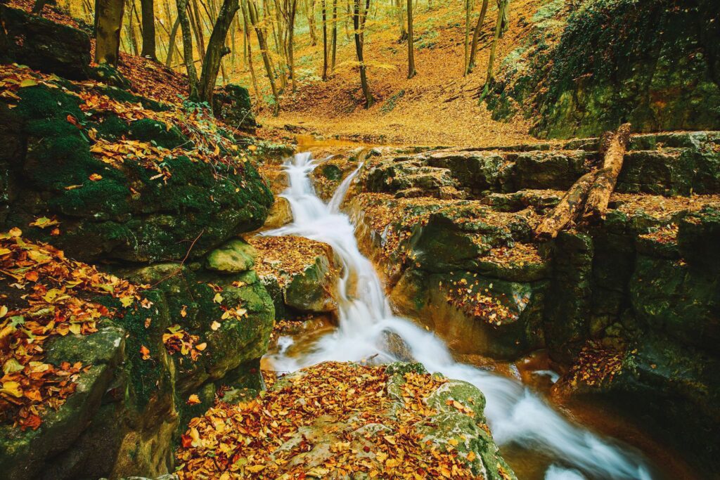 Trading Strategies Archives - Analyzing Alpha