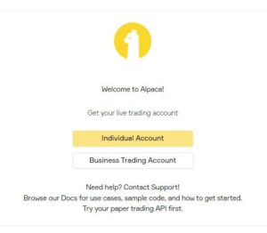 Alpaca Markets API Python Tutorial - Analyzing Alpha